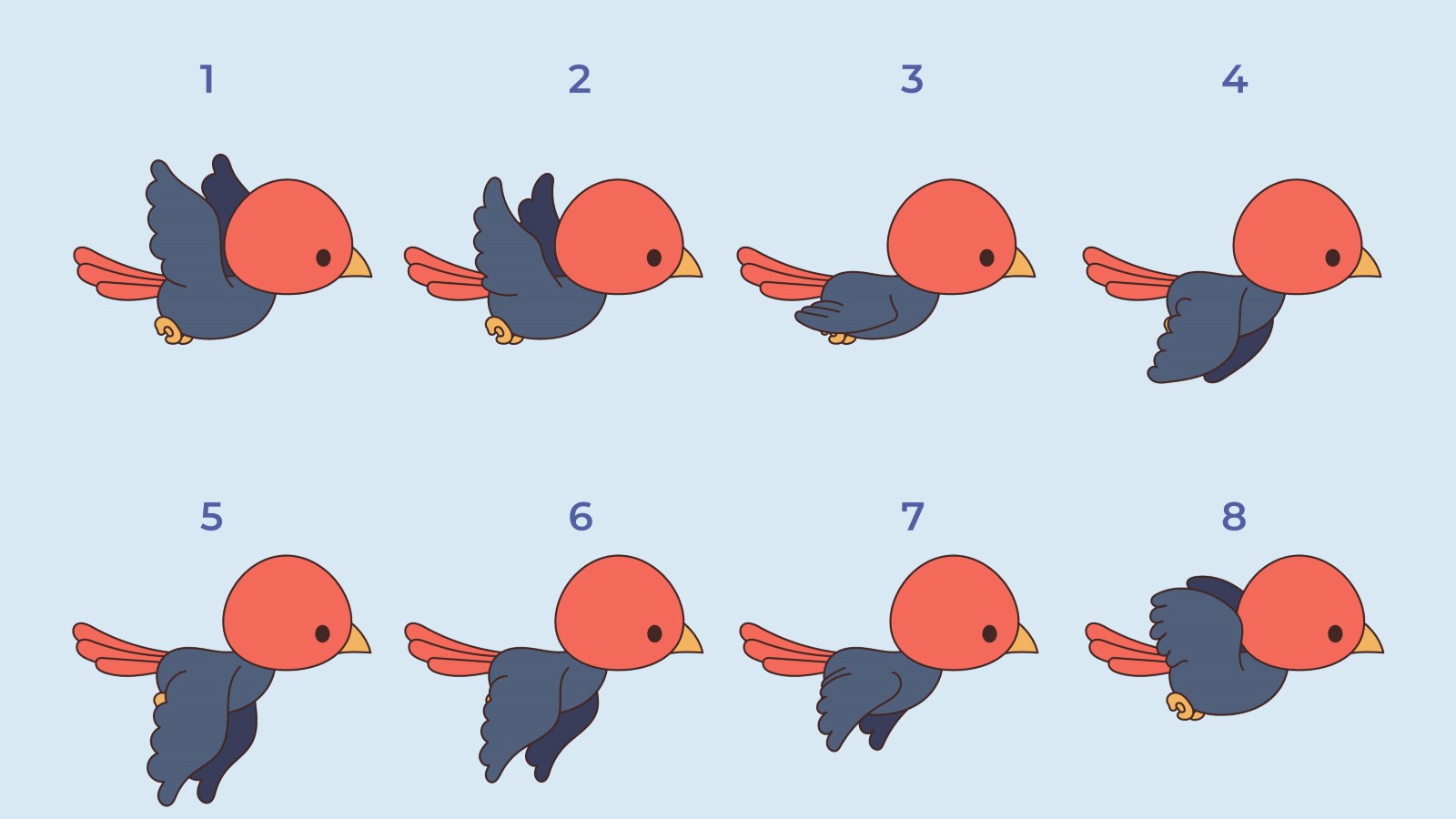 What Is Animation? A Complete Guide to the Art Form - VerboLabs